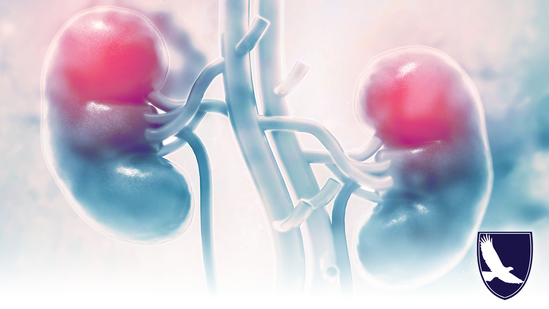 Quikaid – The Disability Experts | Can I Get SSDI or SSI for Kidney or ...